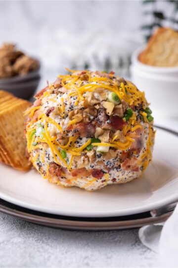 Cheese Ball Recipe (It's Always a Party Favorite with Kids & Adults)