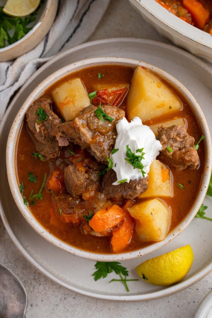 My Grandma's Go-To Mexican Beef Stew Recipe
