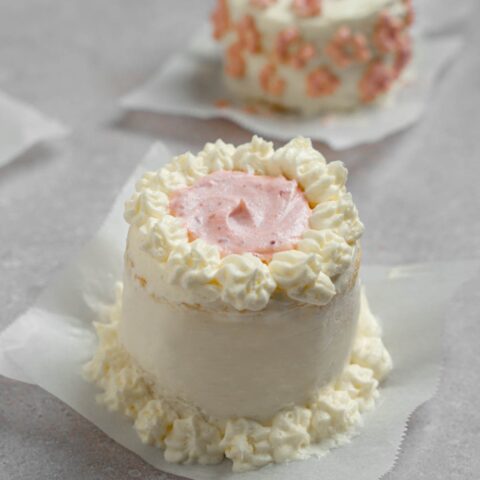 Lunchbox Cakes – Easy Mini Bento Cakes You Can Make at Home