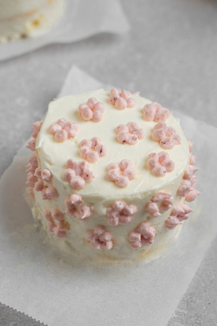 Lunchbox Cakes – Easy Mini Bento Cakes You Can Make at Home